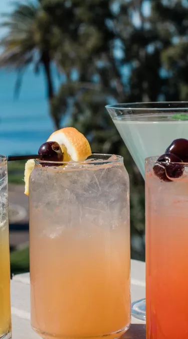 Best Rooftop Bars & Restaurants | Visit St Petersburg Clearwater Florida