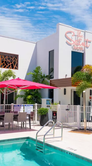 New Hotels and Fresh Renovations | Visit St Petersburg Clearwater Florida