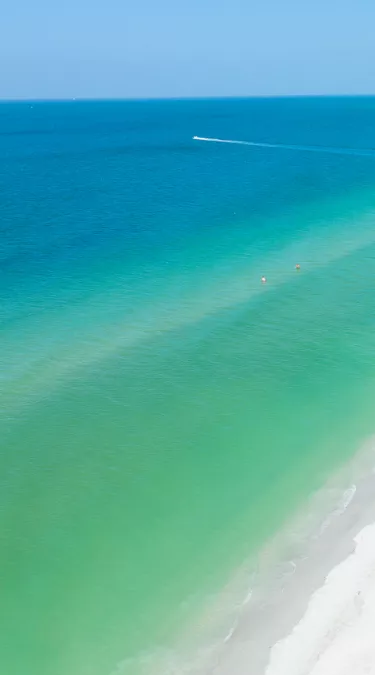 The Perfect Coastal Colors of St. Pete/Clearwater | Visit St Petersburg ...