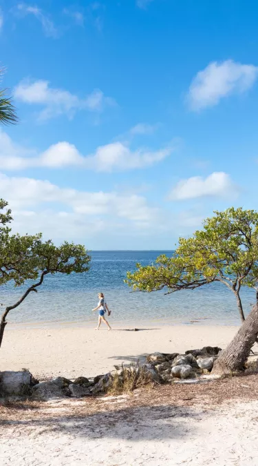 LGBTQ+ Travel | Visit St Petersburg Clearwater Florida