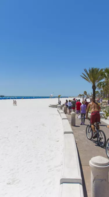 Scenic Pathways in St. Pete-Clearwater | Visit St Petersburg Clearwater ...
