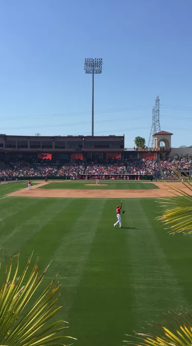 Major League Baseball Spring Training | Visit St Petersburg Clearwater ...