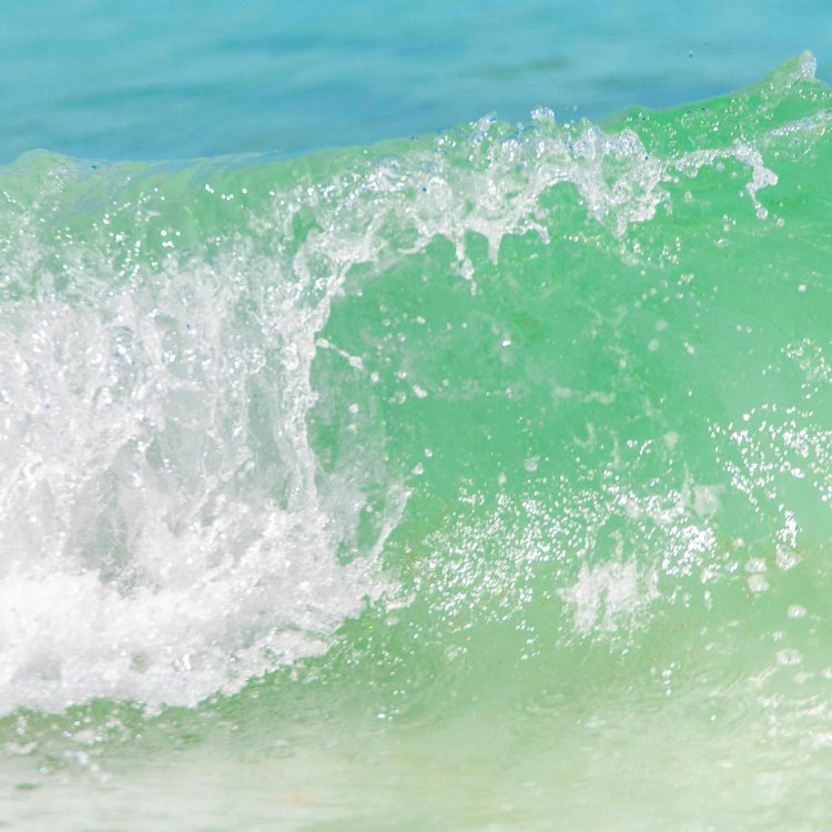 Pinellas County TDC Meetings | Visit St Petersburg Clearwater Florida