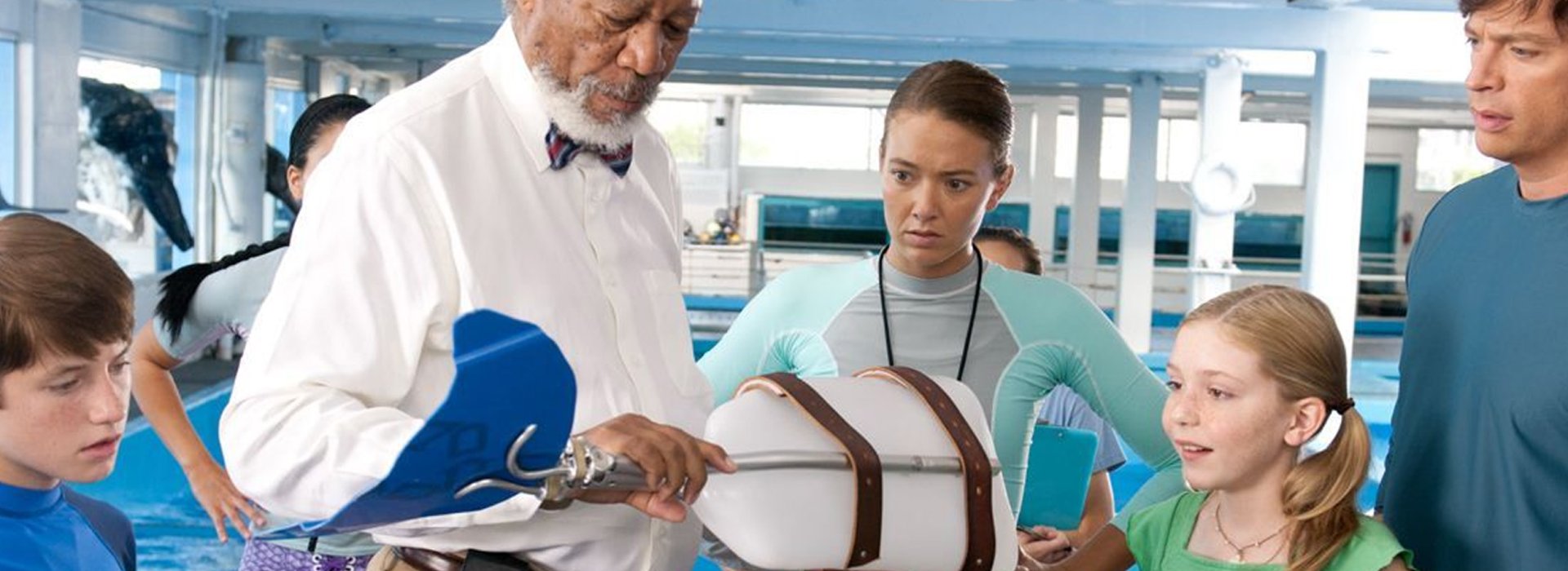 Dolphin Tale | Visit St Petersburg Clearwater Florida