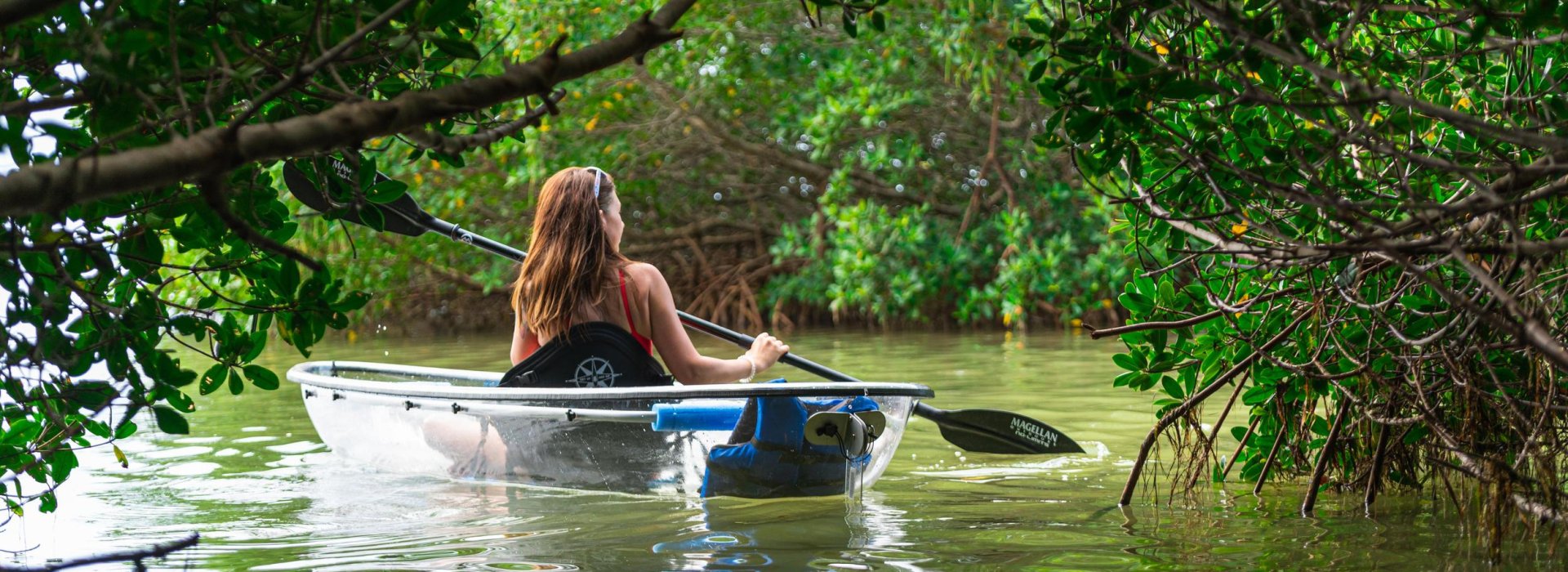 Nature Tours in St. Pete/Clearwater | Visit St Petersburg Clearwater ...