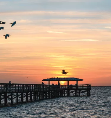 Safety Harbor | Visit St Petersburg Clearwater Florida