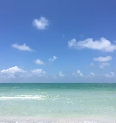 Sandy Toes Boat Challenge | Visit St Petersburg Clearwater Florida