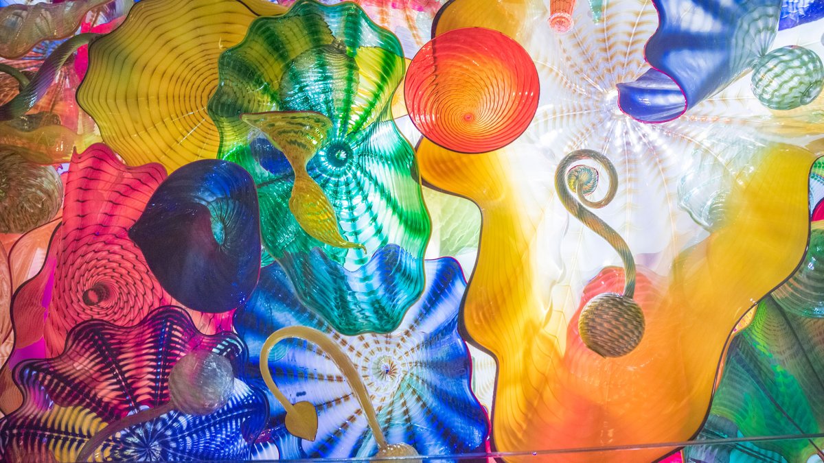 The Chihuly Collection | Visit St Petersburg Clearwater Florida