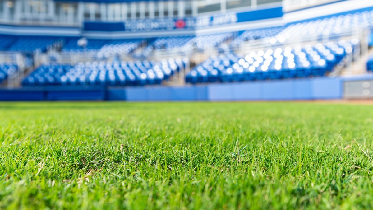 Baseball & Spring Training in St. Pete-Clearwater | Visit St Petersburg ...