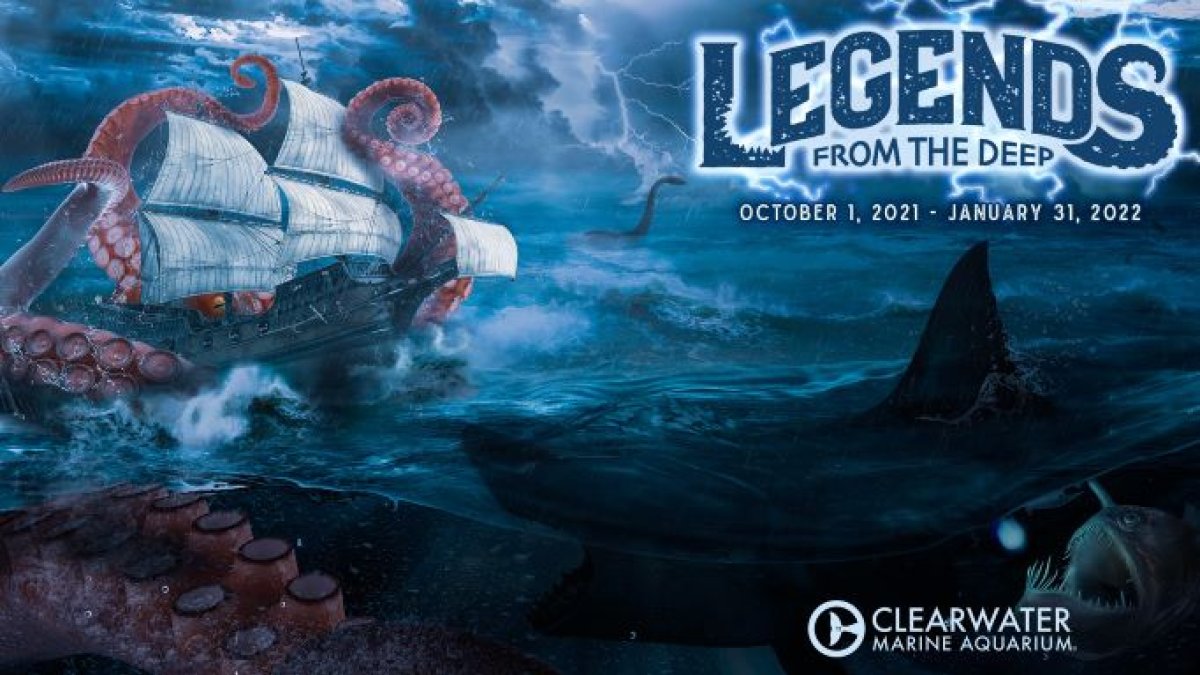 Legends From the Deep at Clearwater Marine Aquarium | Visit St ...