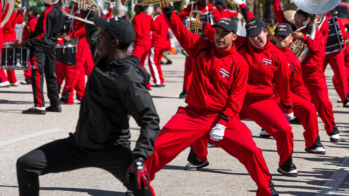 MLK Dream Big Parade Weekend Celebration | Visit St Petersburg ...