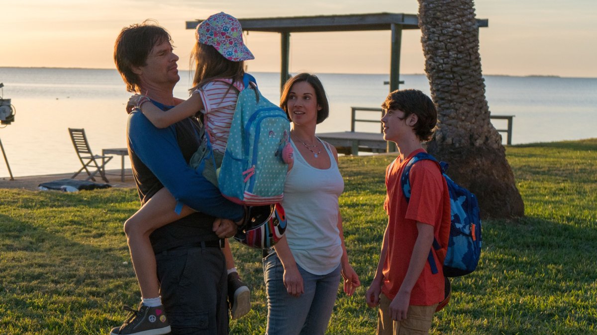 Bernie the Dolphin | Visit St Petersburg Clearwater Florida