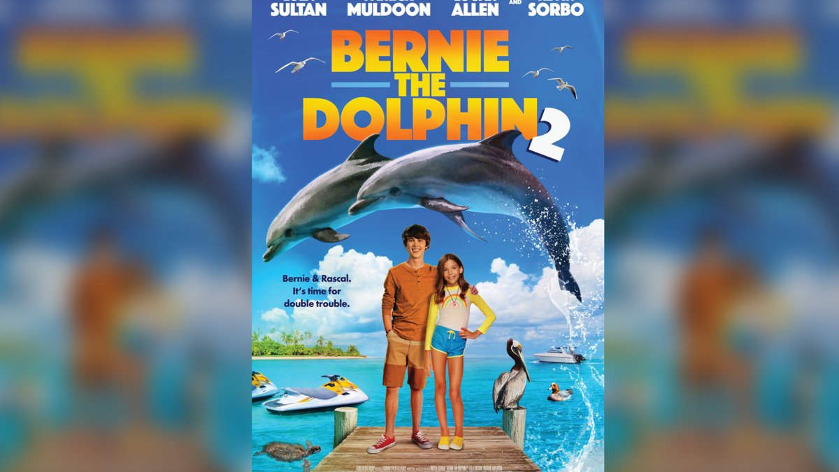 Bernie the Dolphin 2 | Visit St Petersburg Clearwater Florida