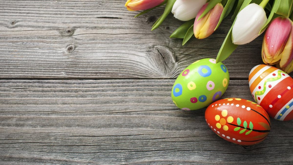 Countryside Eggstravaganaza | Visit St Petersburg Clearwater Florida