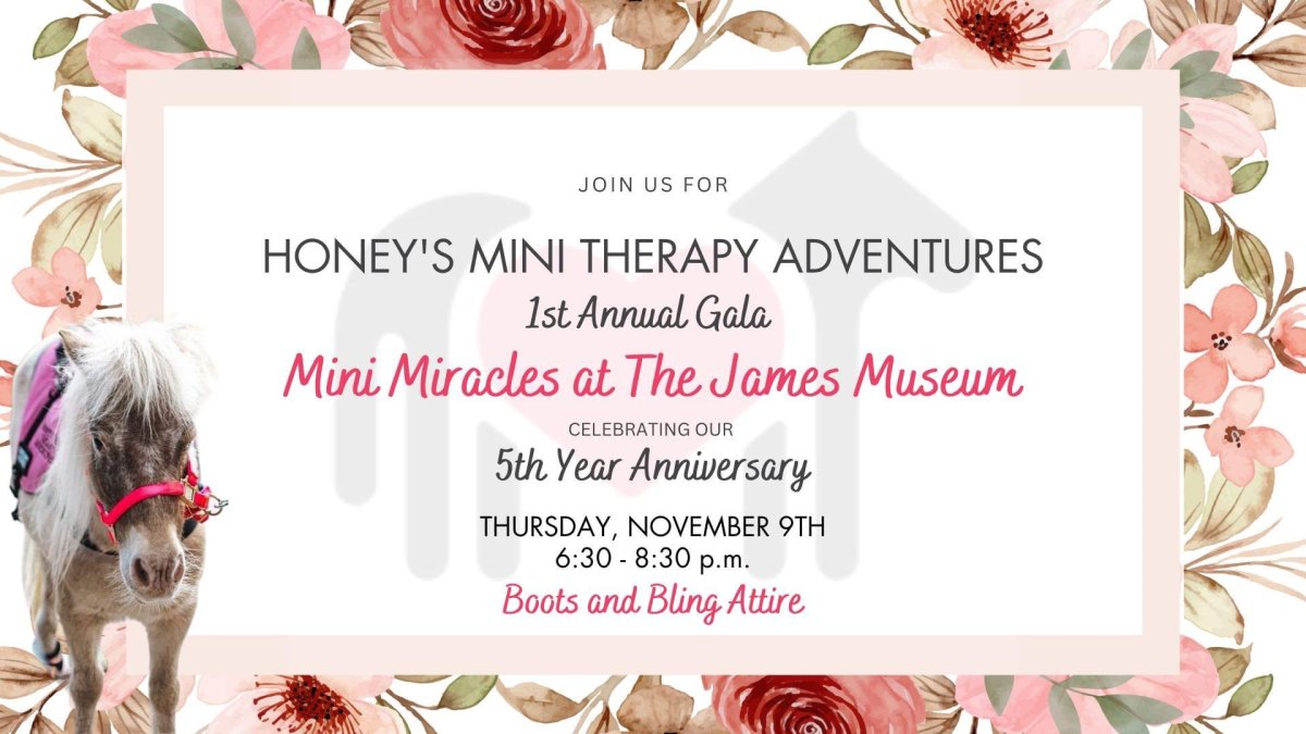 Mini Miracles Fundraising Gala at the James Museum | Visit St ...