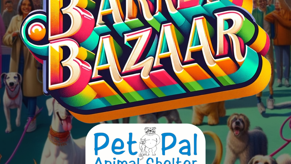 Barket Bazaar | Visit St Petersburg Clearwater Florida