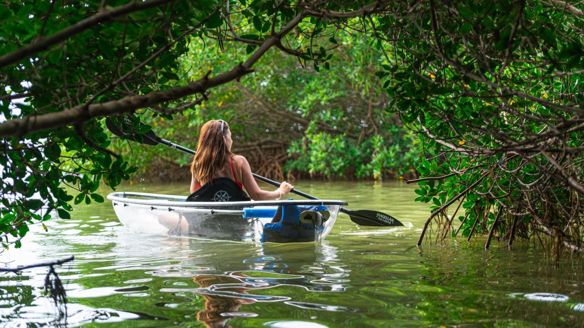 FunShine Savings Passport | Visit St Petersburg Clearwater Florida