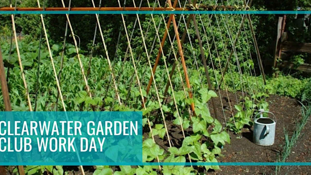 Clearwater Garden Club Work Day Series | Visit St Petersburg Clearwater ...