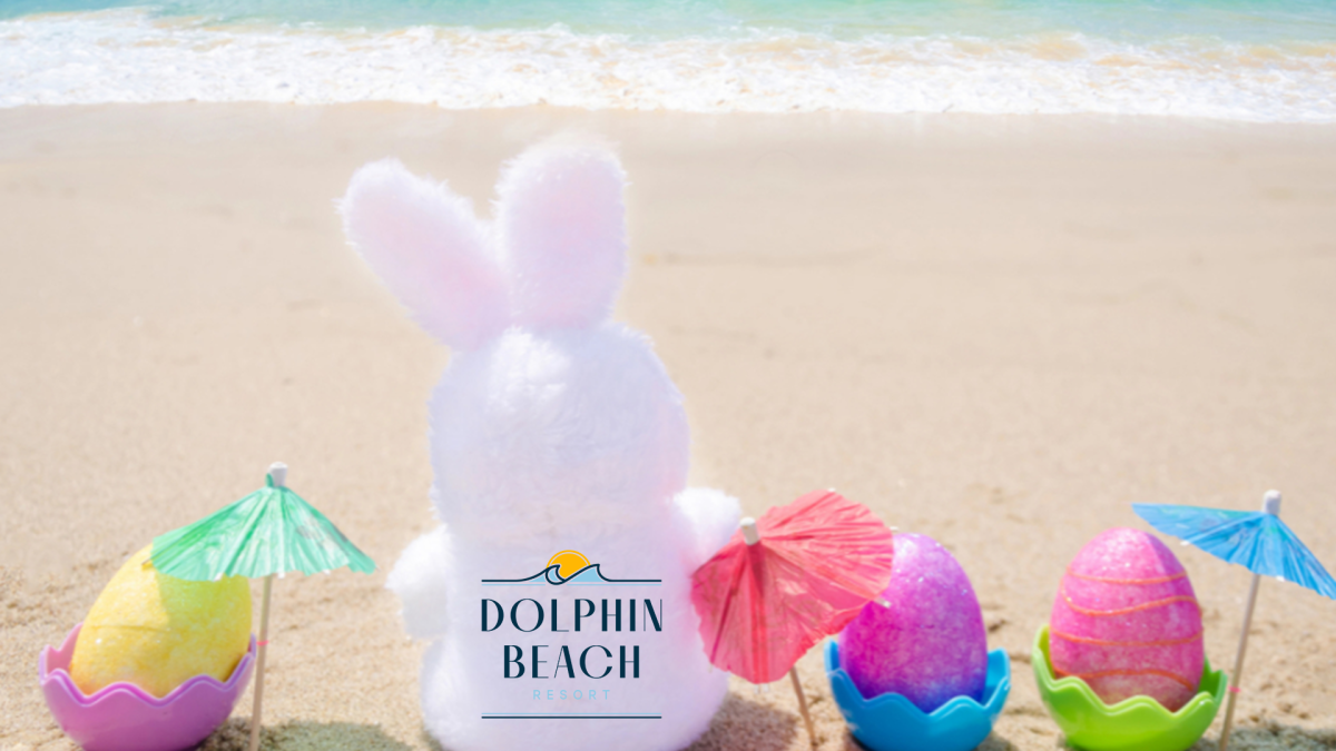 Easter Egg Hunt at Dolphin Beach Resort | Visit St Petersburg ...
