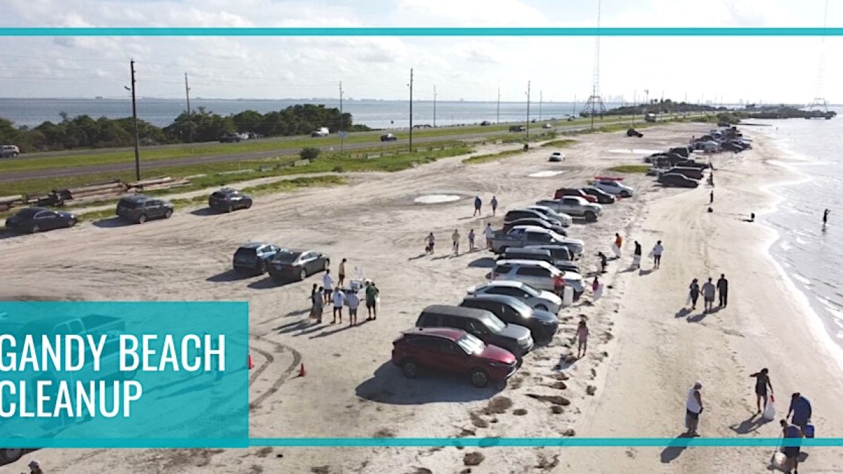 Monthly KPB Gandy Beach Cleanup | Visit St Petersburg Clearwater Florida