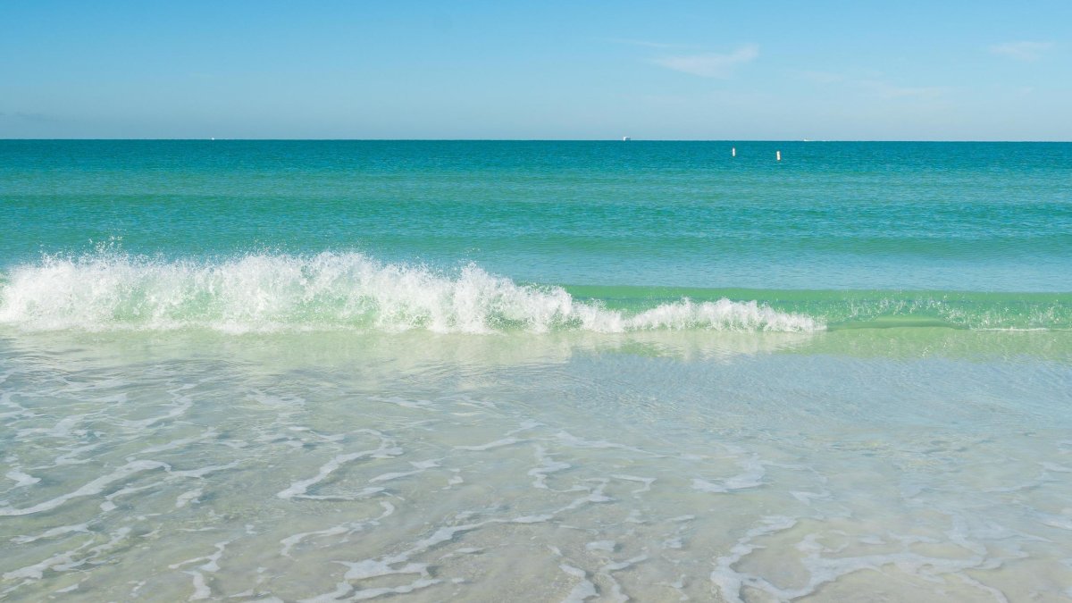 Visit St. Pete-Clearwater Invites Everyone to Celebrate National Beach ...
