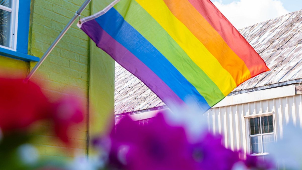 Dunedin | Visit St Petersburg Clearwater Florida