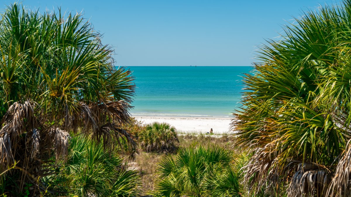 VSPC Department Reports | Visit St Petersburg Clearwater Florida