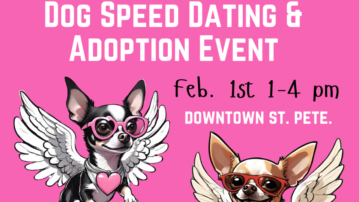 Plenty Of Paws Dog Rescue Speed Dating & Dog Valentine's Event | Visit ...