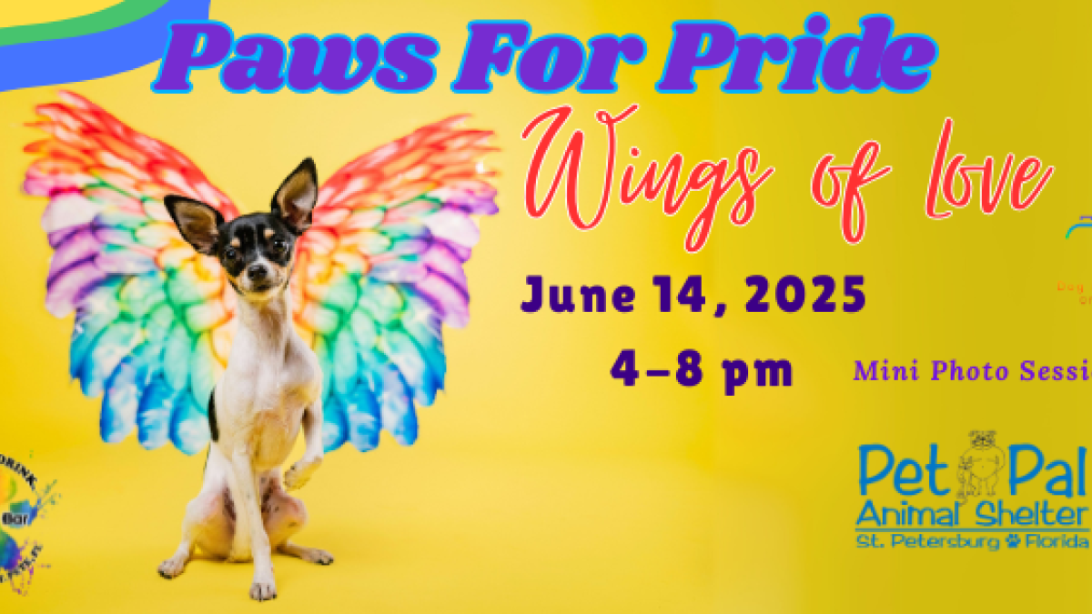 Paws for Pride: Wings of Love benefiting local Dog Rescues | Visit St ...