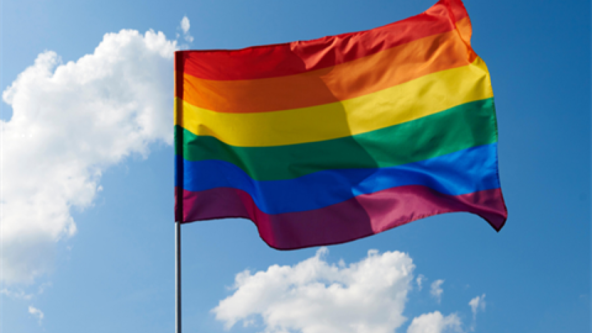 Dunedin Pride Flag-Raising Ceremony & Family Fun Day | Visit St ...