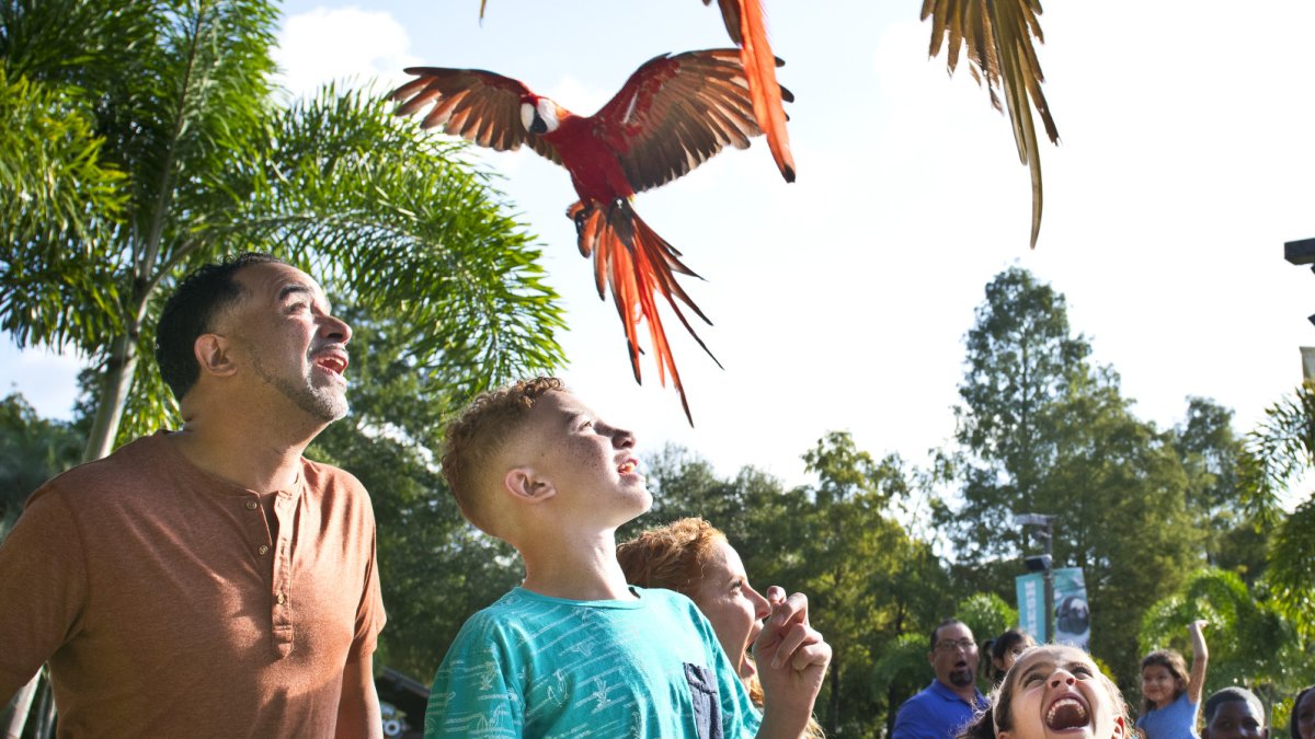 ZooTampa at Lowry Park | Visit St Petersburg Clearwater Florida