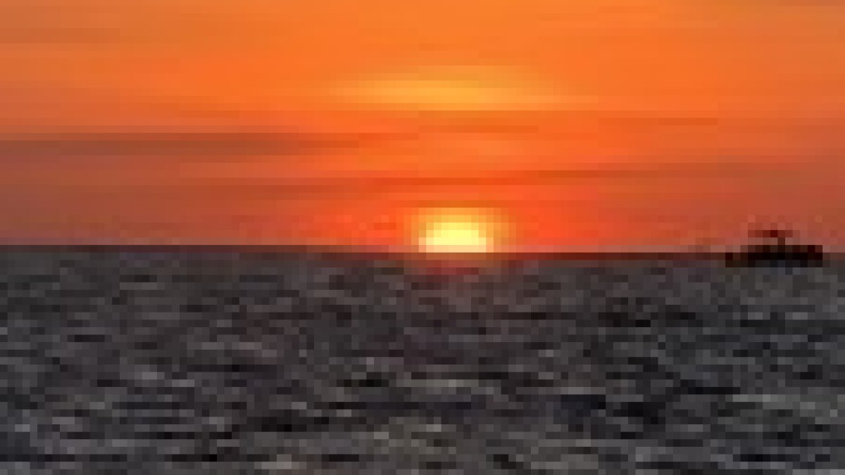 Sandy Toes Boat Challenge | Visit St Petersburg Clearwater Florida