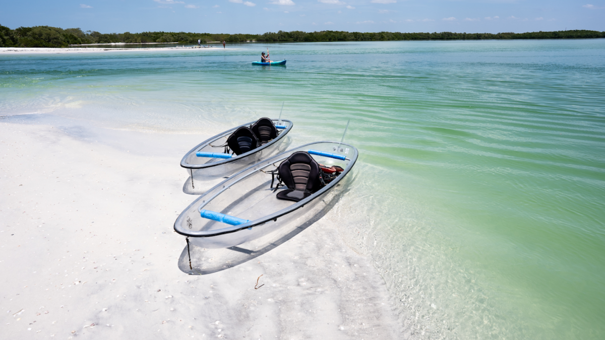 Get Up and Go Kayaking - Tampa Bay | Visit St Petersburg Clearwater Florida
