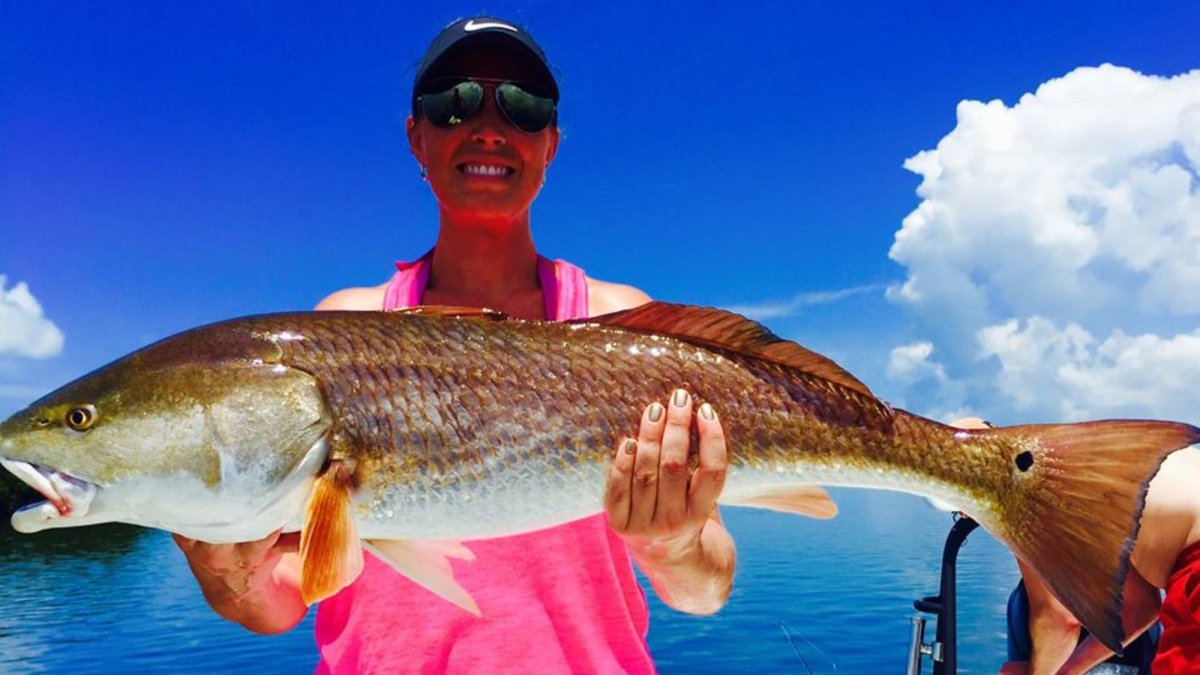 Captain Dustin Fishing Charters | Visit St Petersburg Clearwater Florida