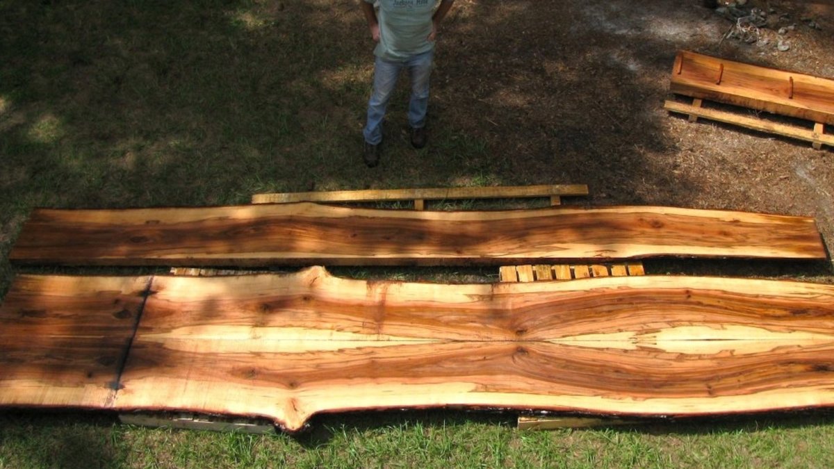 Sweet Gum Wood Slabs Sweetgum Wood Slab: SG 05 03 – Bluestone