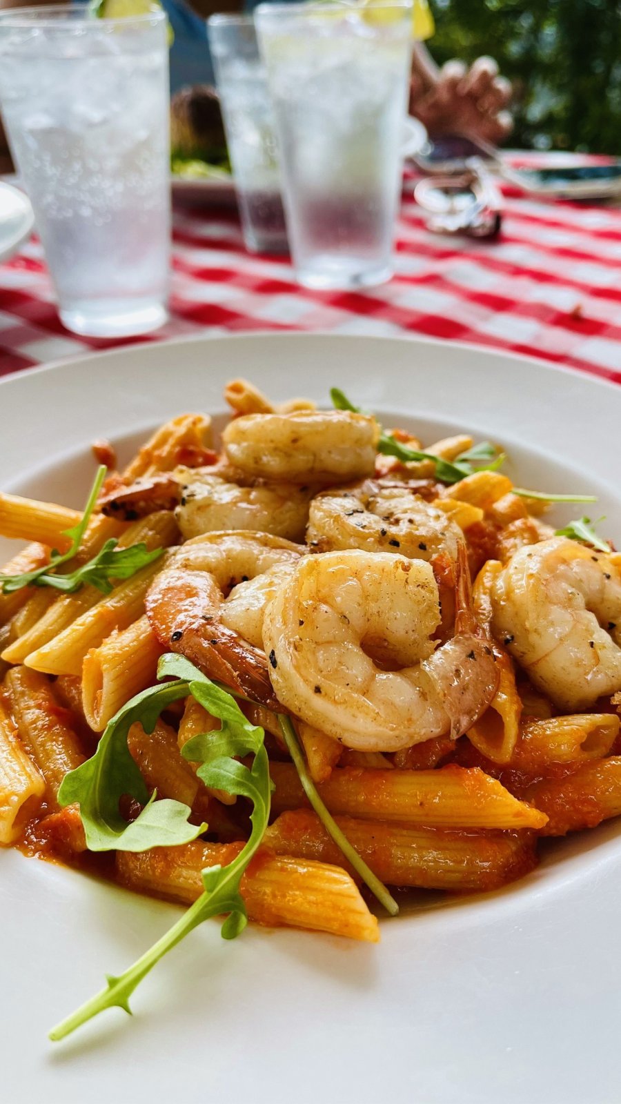 Pia's Trattoria | Visit St Petersburg Clearwater Florida